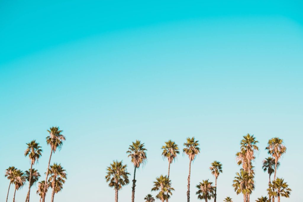 14 Amazing Southern California Cities For A Wellness Getaway - Wellness ...